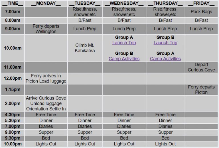 Sample Programme - Curious Cove