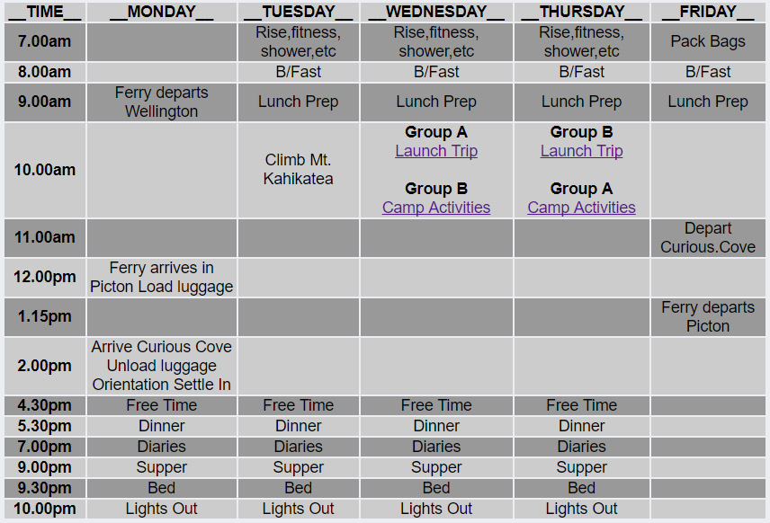 Sample Programme - Curious Cove