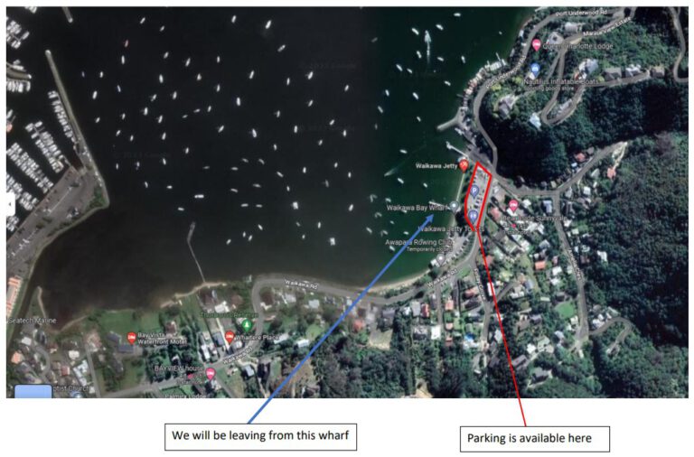 Waikawa Bay Map - Curious Cove